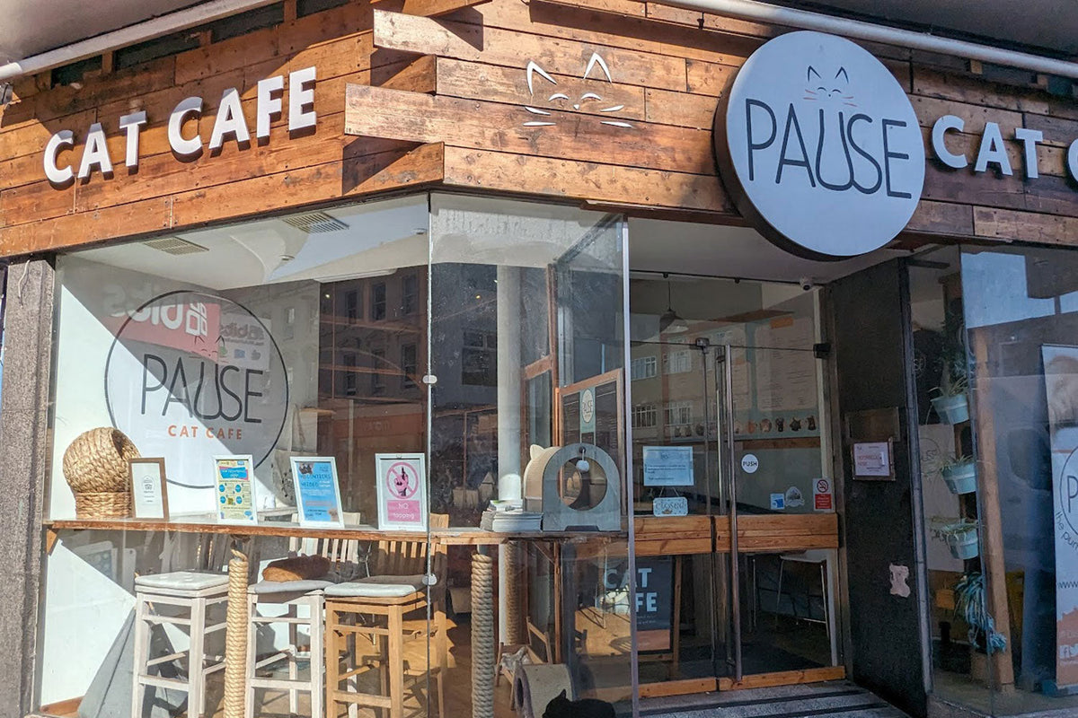 Pause Cat Cafe – BadHandCoffee