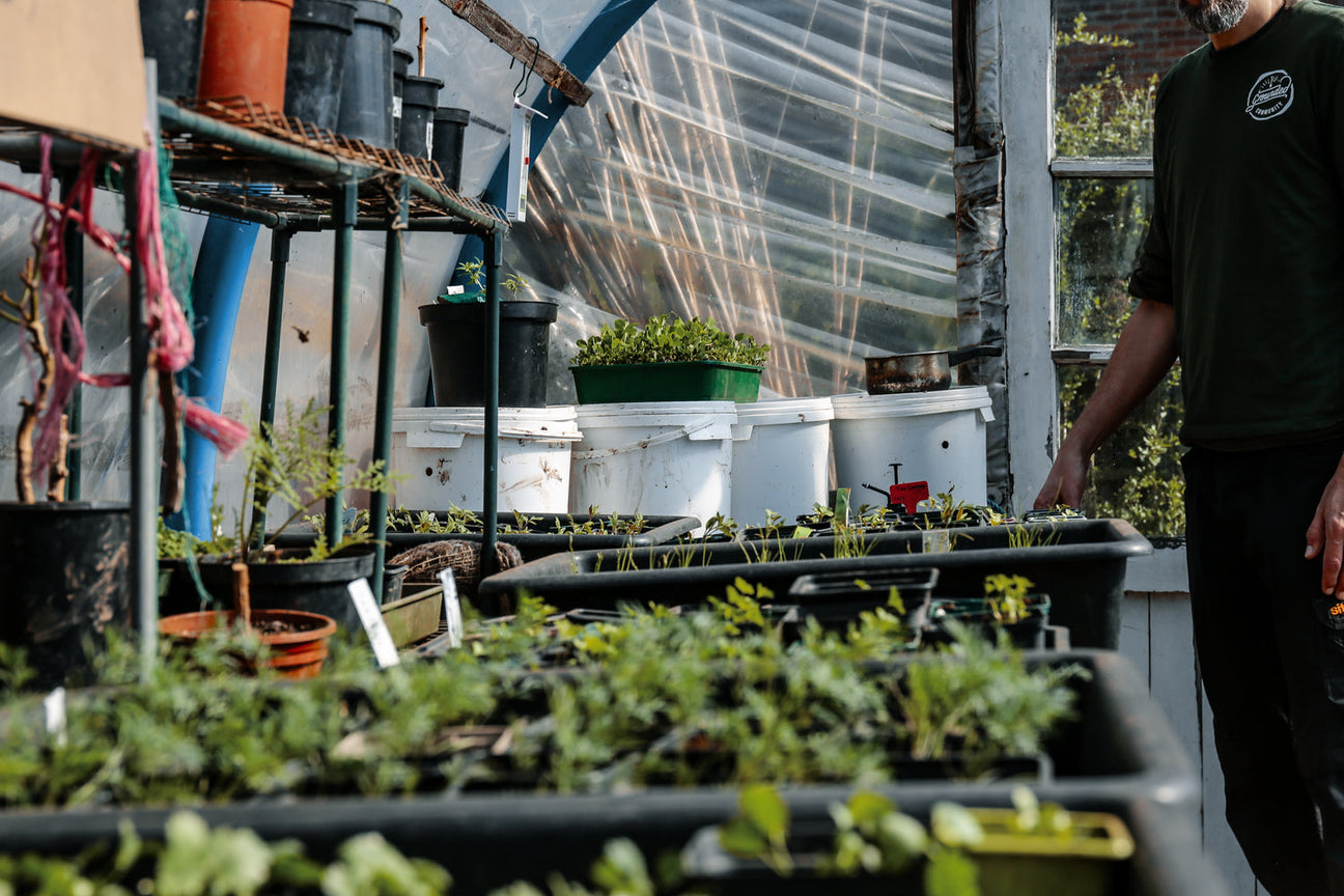 Grounded Community Boscombe – BadHandCoffee